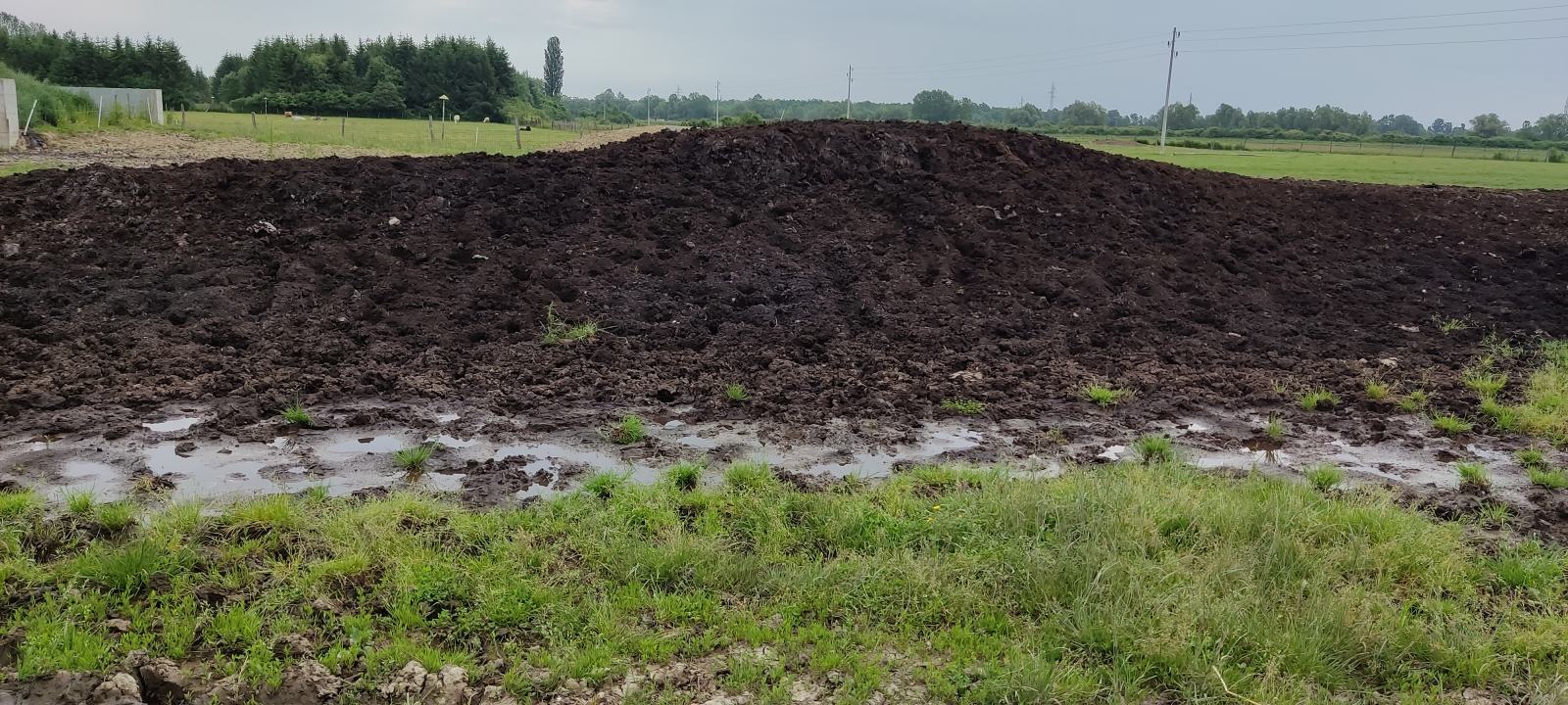 Stajski gnoj, kompost,humus, eko gnojivo