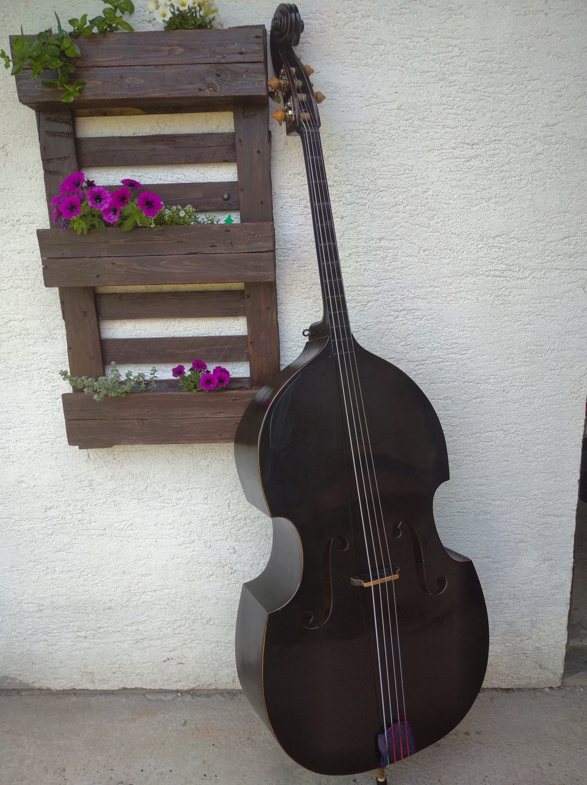 Tamburaški bas, berda, begeš.