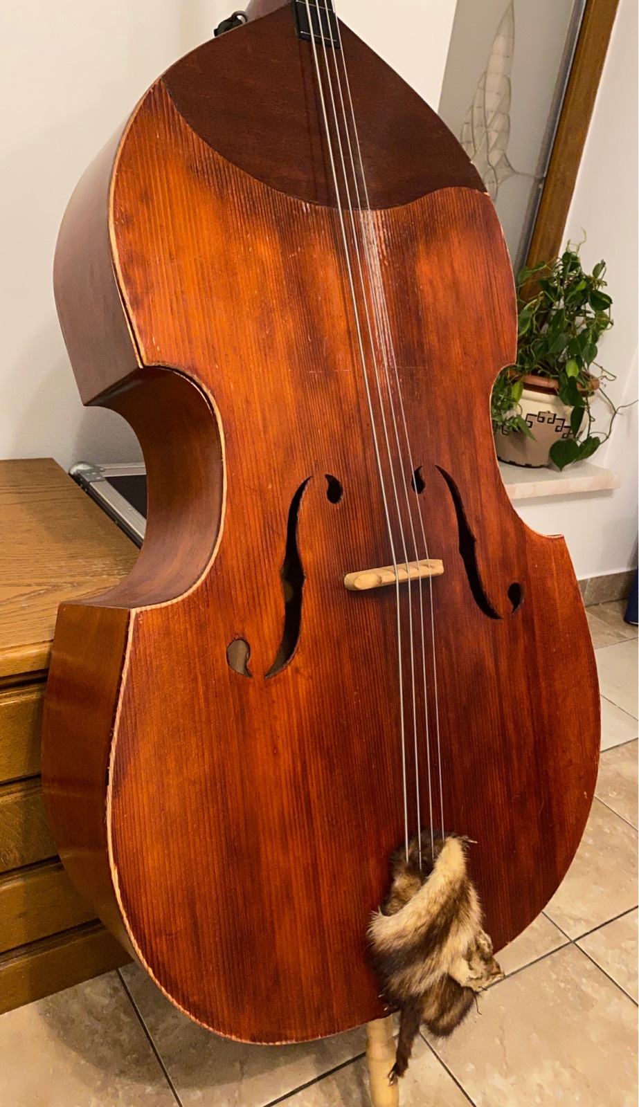 Tamburaski bas, berda, A štim, 6000kn