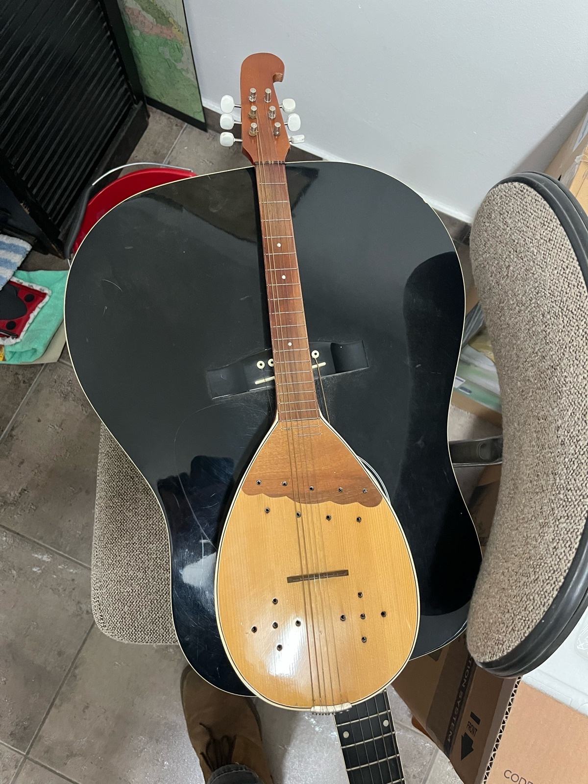 Tamburica bisernica i samica