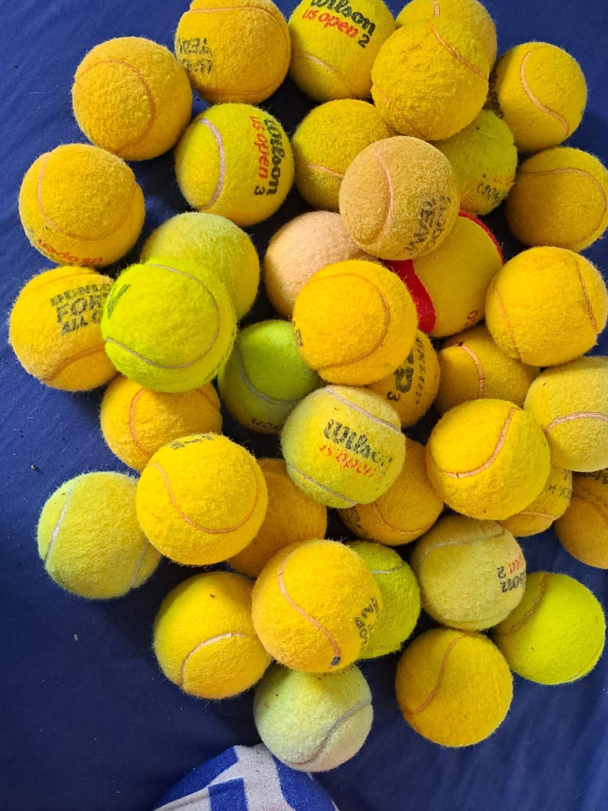 Teniske loptice 50 komada