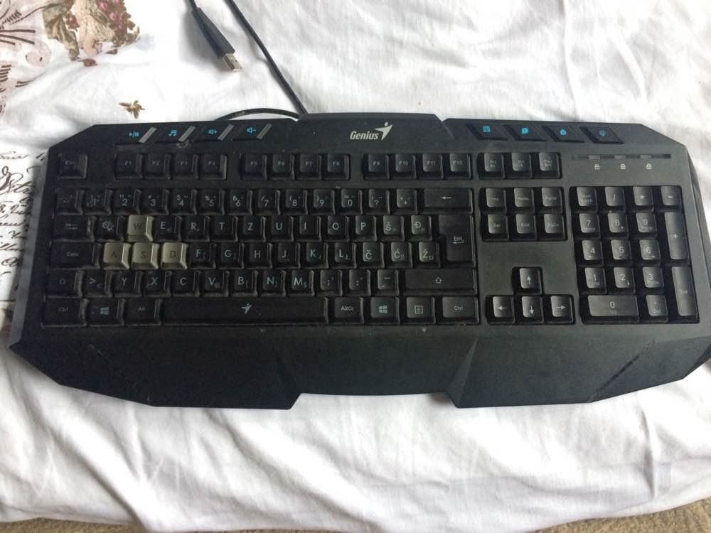 Genius Gaming Keyboard