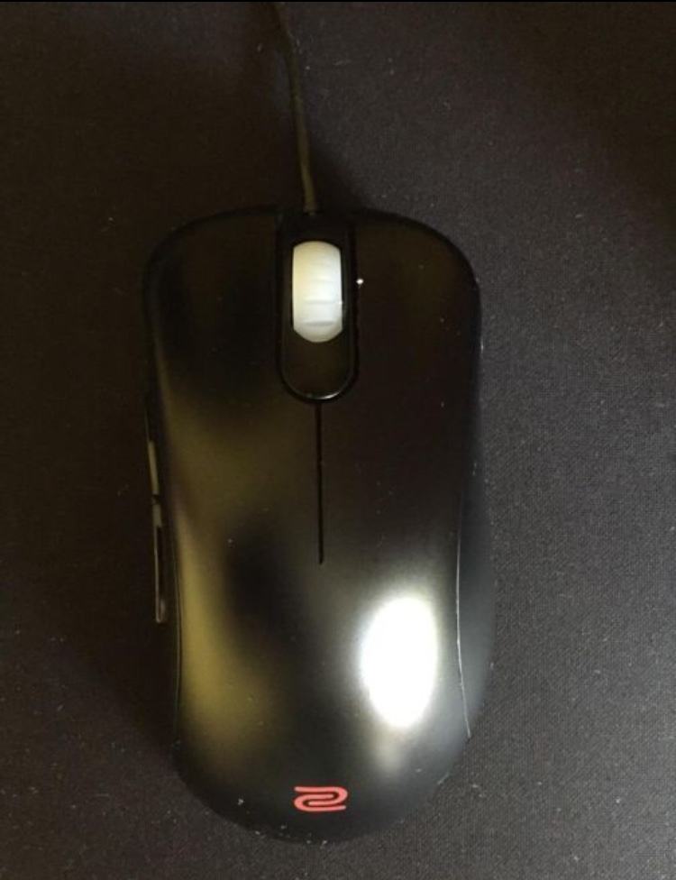 Zowie EC2-a gamerski mis