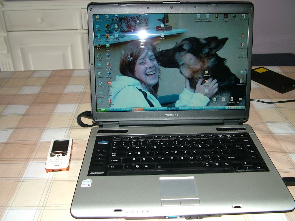 Toshiba Satellite A100-683 Intel Core Duo T2250