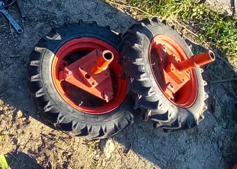 Kotaci za agriu