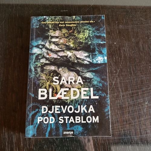 DJEVOJKA POD STABLOM (Sara Blaedel)