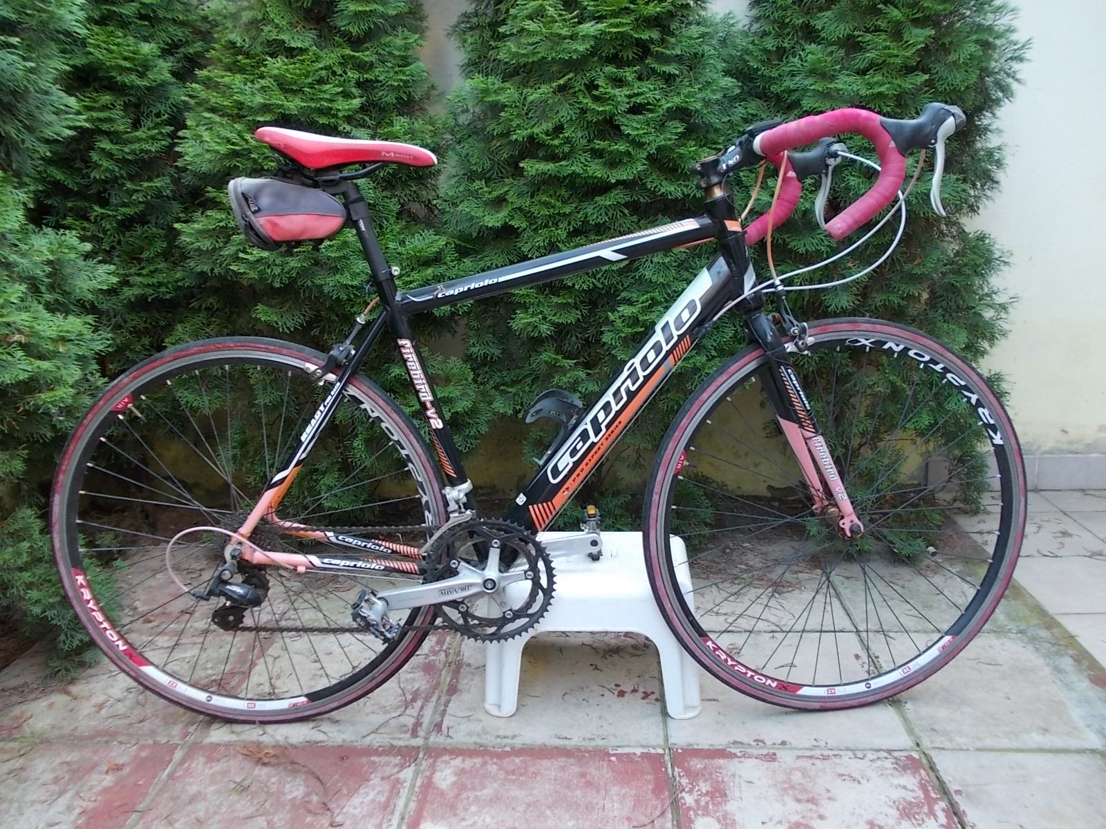 Capriolo Firebird V2