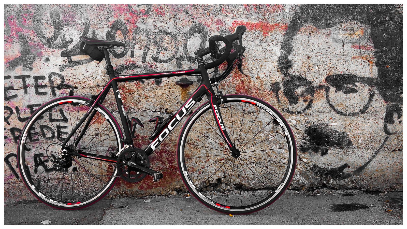 FOCUS CULEBRO SL 5.0 - XL