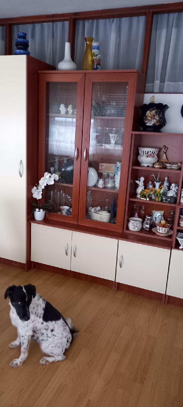 Poklanjam ormar i vitrinu s policama