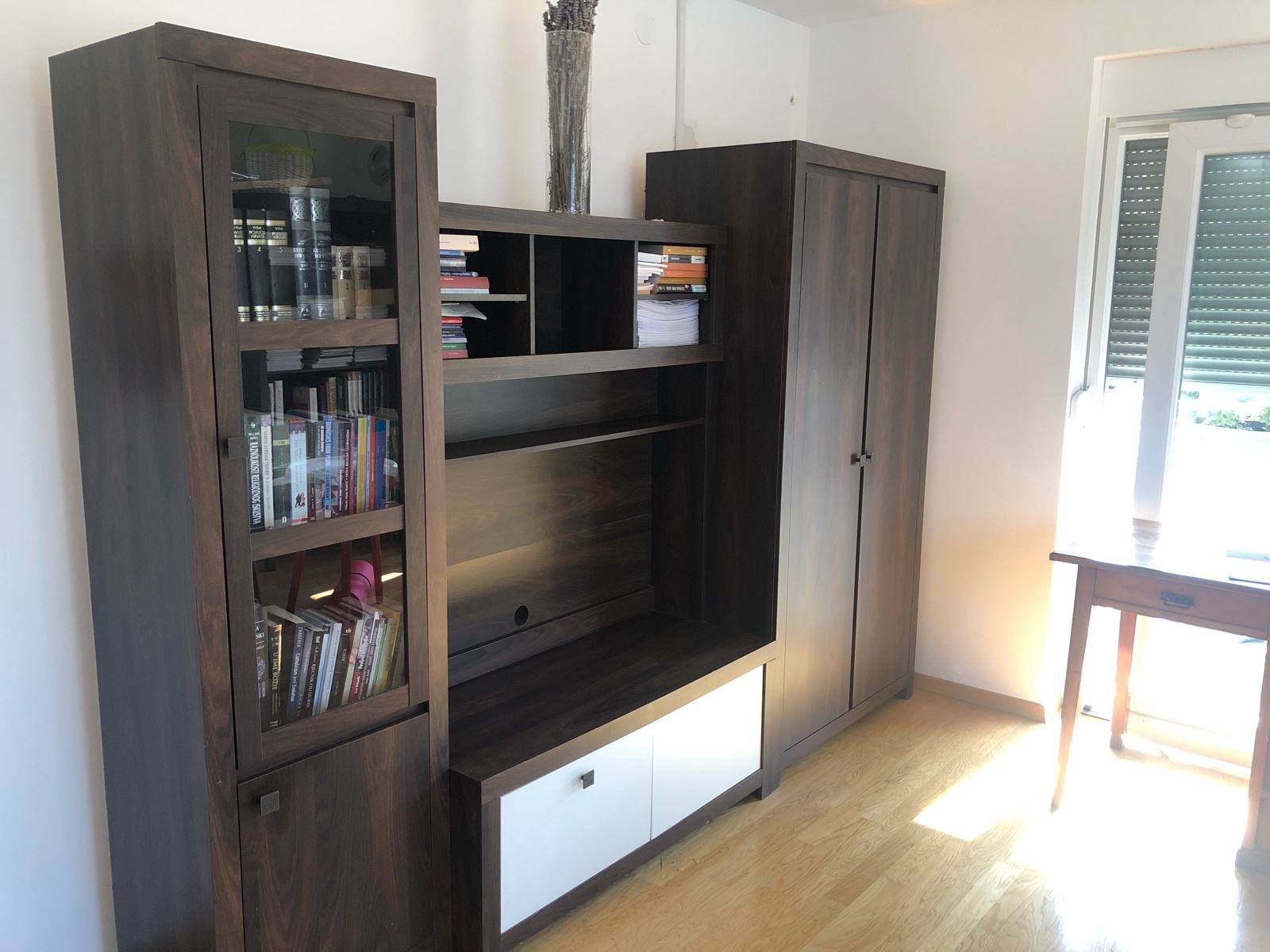 Vitrina, regal i ormar za dnevnu sobu