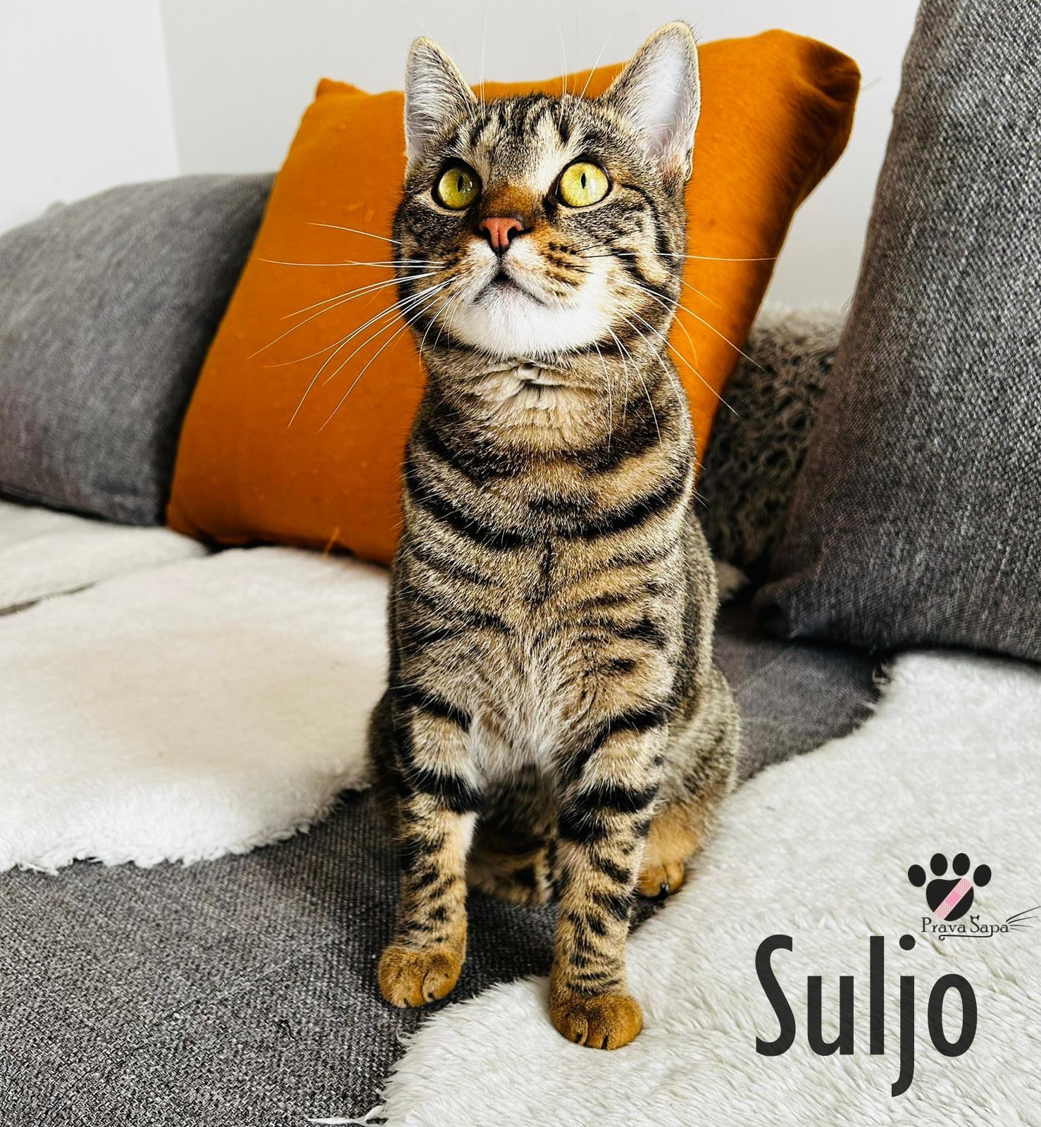SULJO