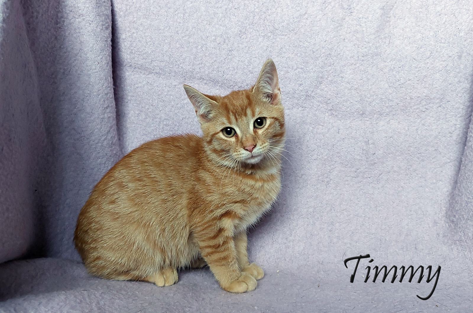 Timmy