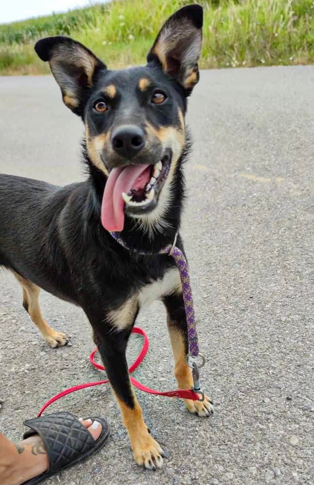 Molly predivnog karaktera!