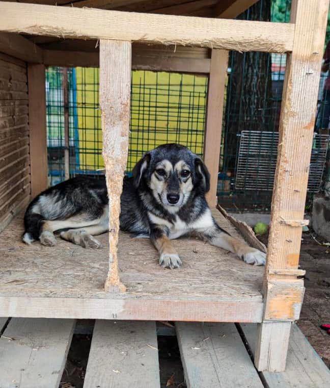 Nježna Zita malog rasta!