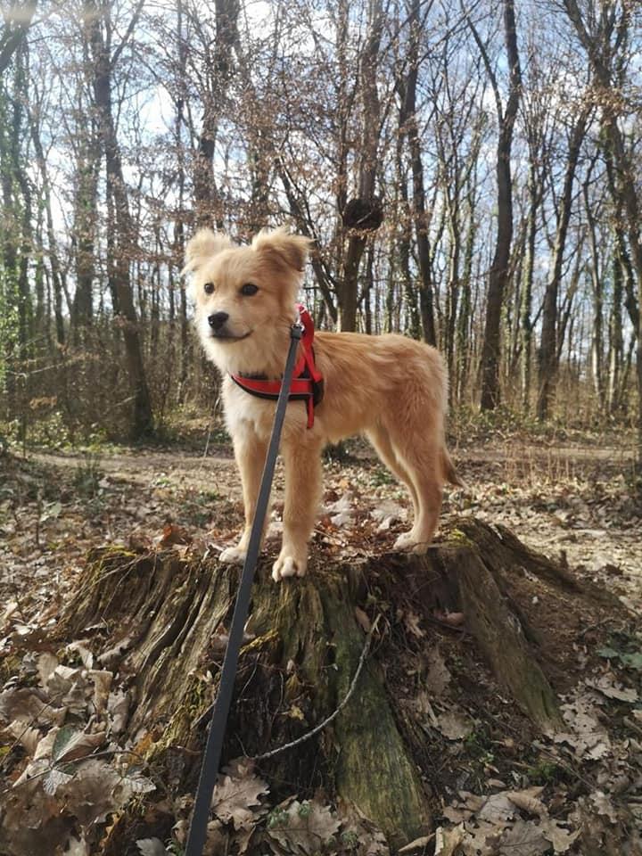 OBI – TRAZIM SVOJ DOM