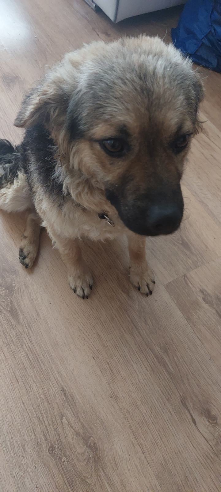 Poklanja se u dobre ruke!