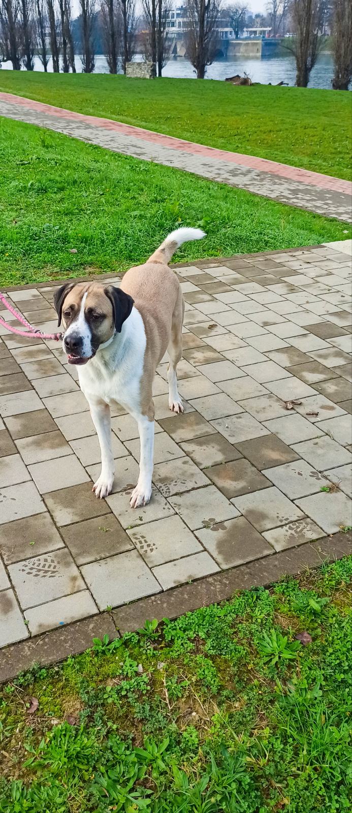 Prekrasna Asha!! Predivnog karaktera!!