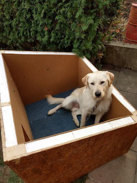 SIMBA traži novi dom