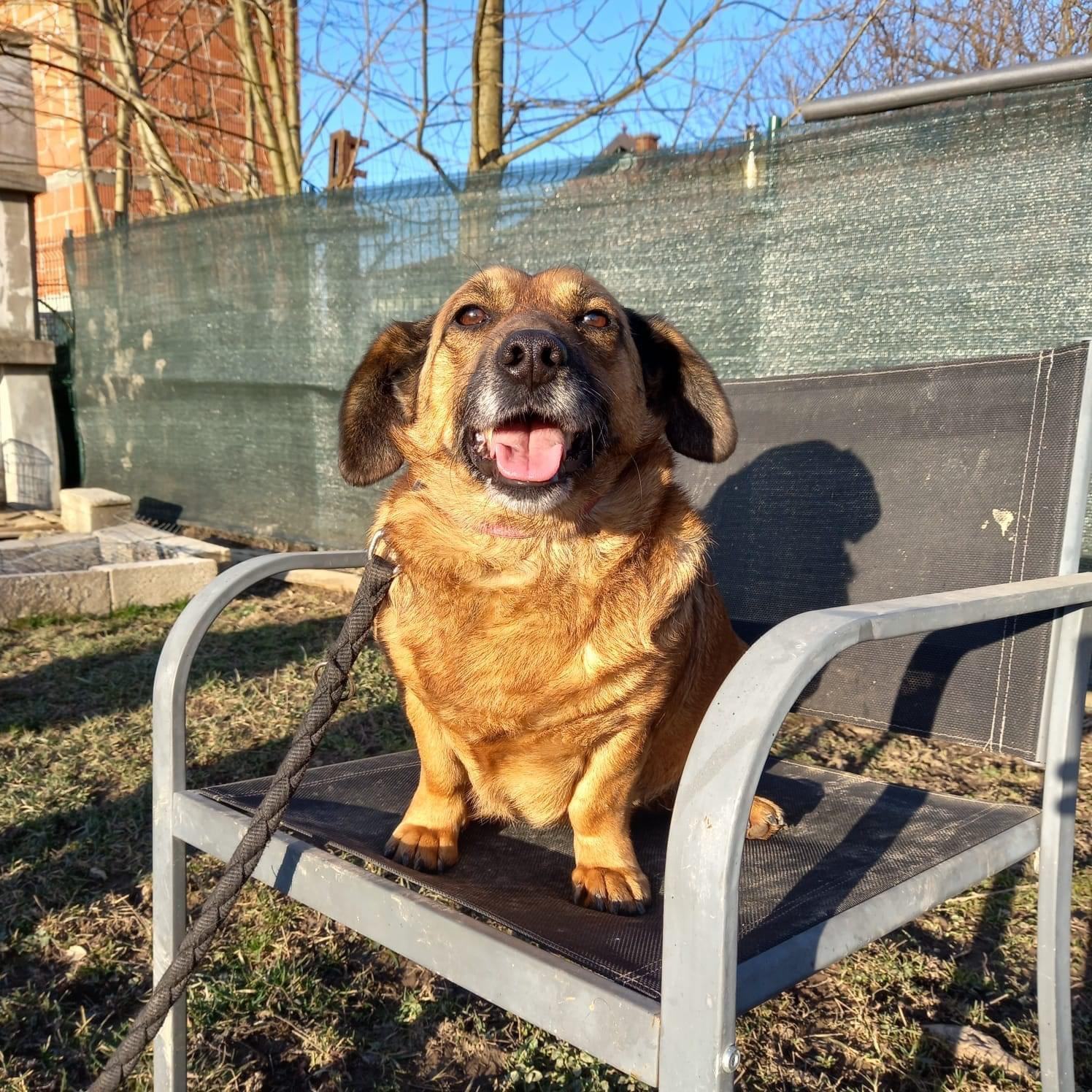 Simpaticni malac Grga trazi dom ️