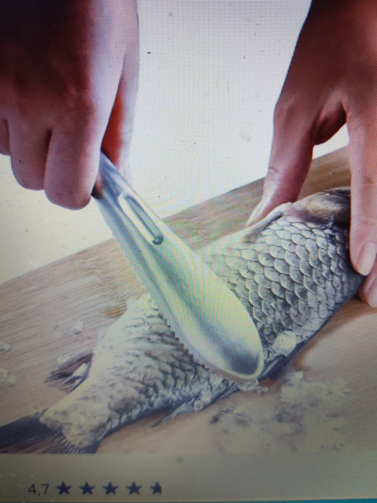 STRUGAČ ZA ČIŠĆENJE KRLJUŠTI RIBE