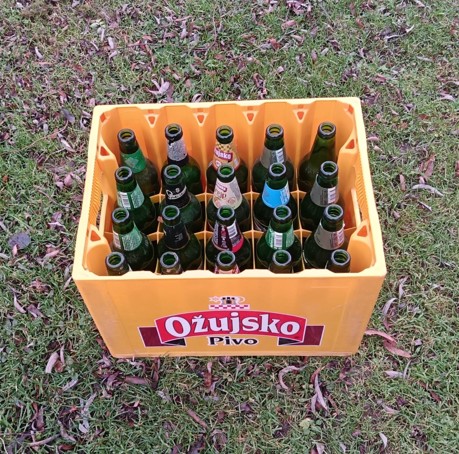 GAJBA ZA OŽUJSKO PIVO ⚡⚡⚡