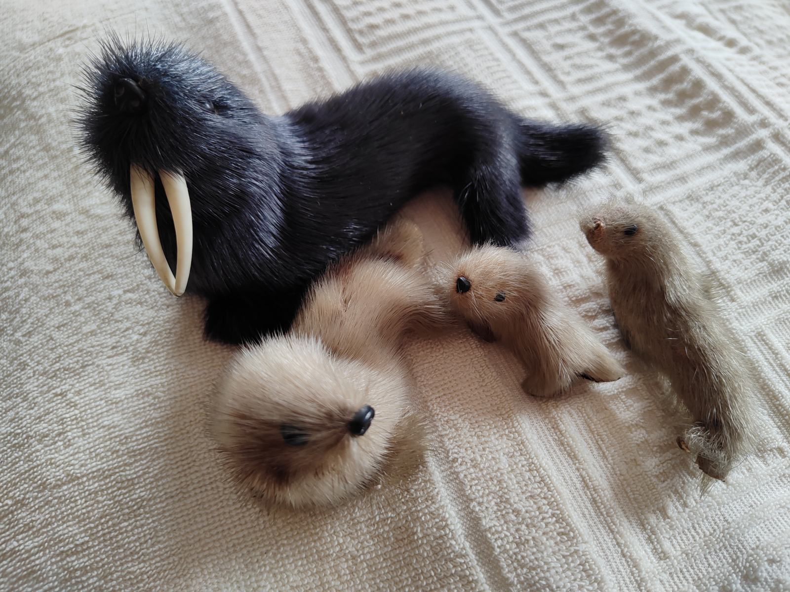 Figurice obitelj tuljana