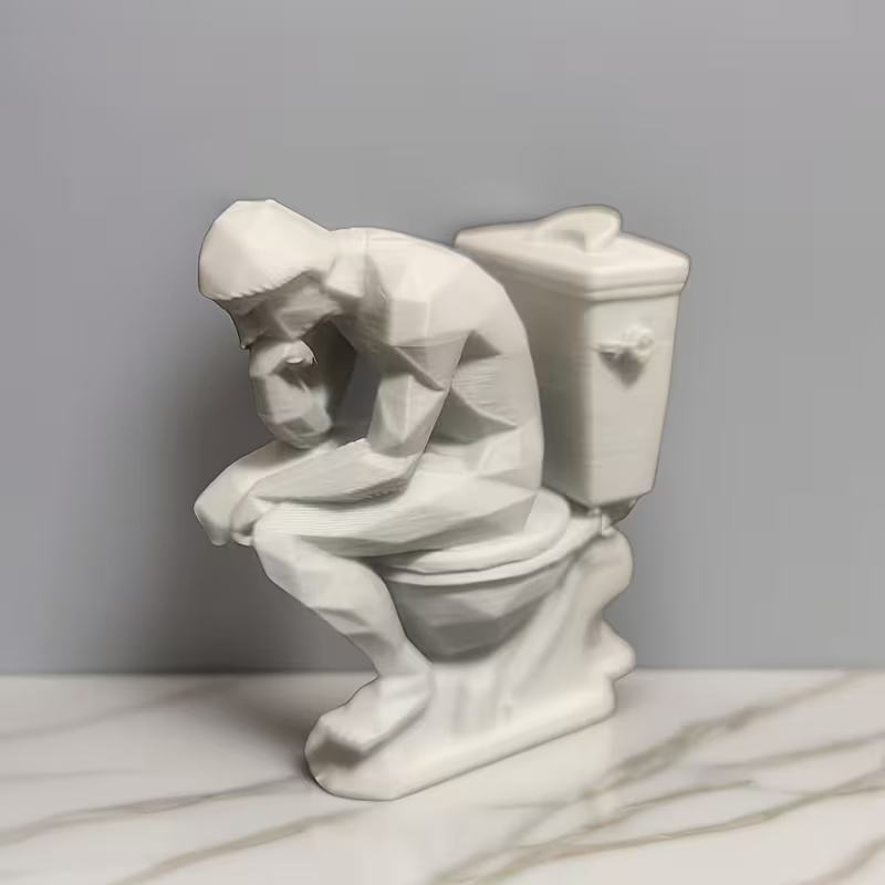 Mislilac, Sjedi na WC-u, Kip Mislioca