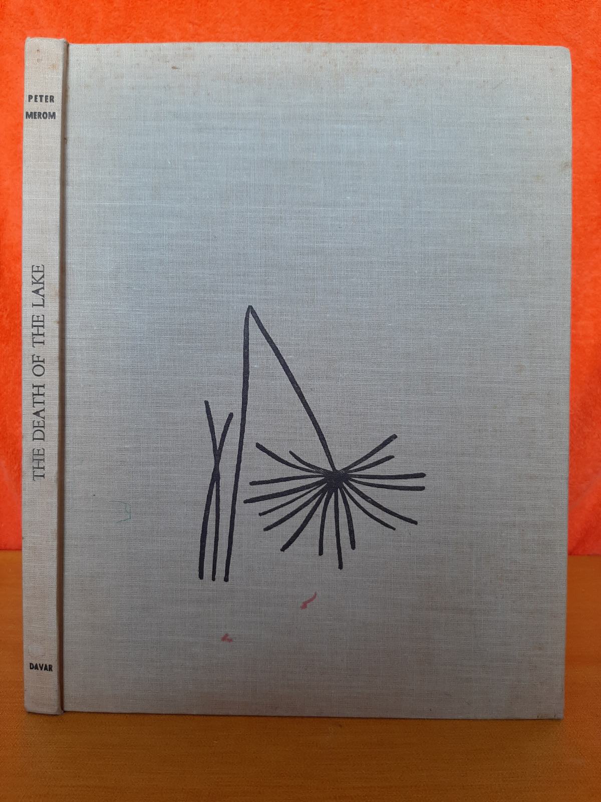 The death of the lake - Peter Merom