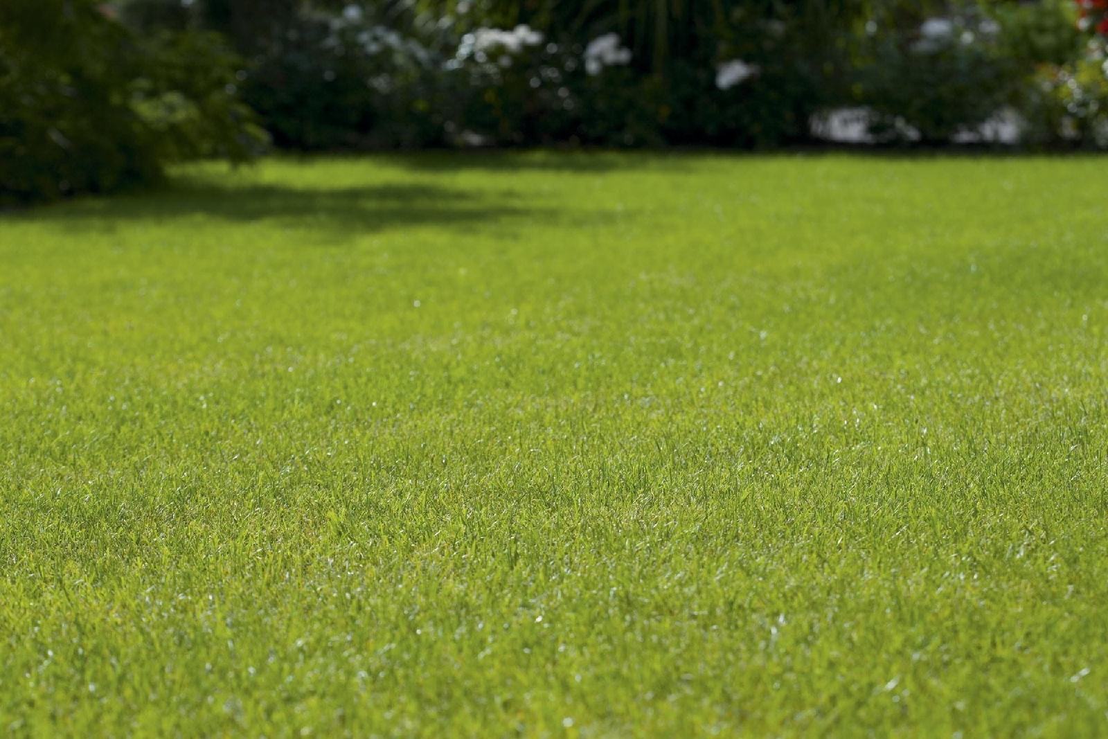 Košnja trave i održavanje