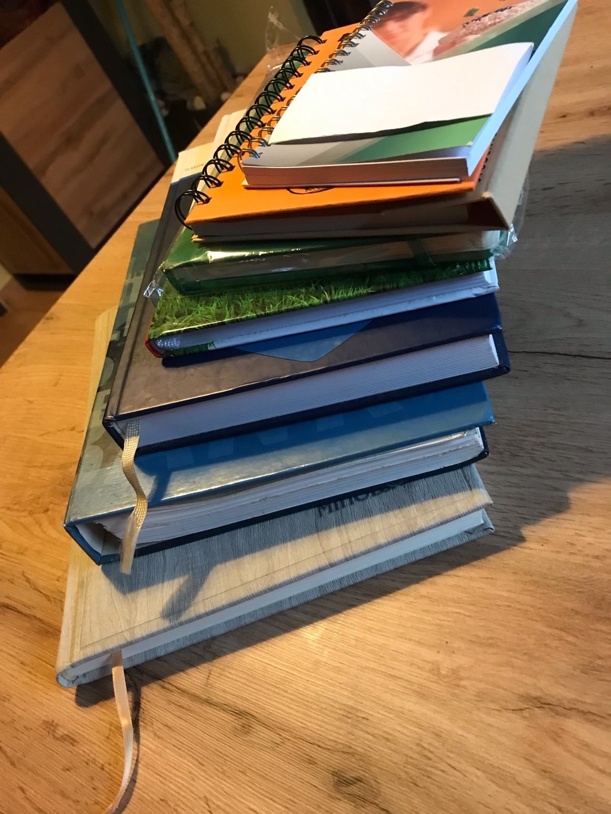 Stari Rokovnici , neispisani , poklanjam uz kupnju ili 2 eu