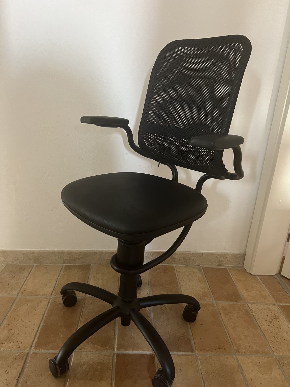 Spinalis ergonomic stolica
