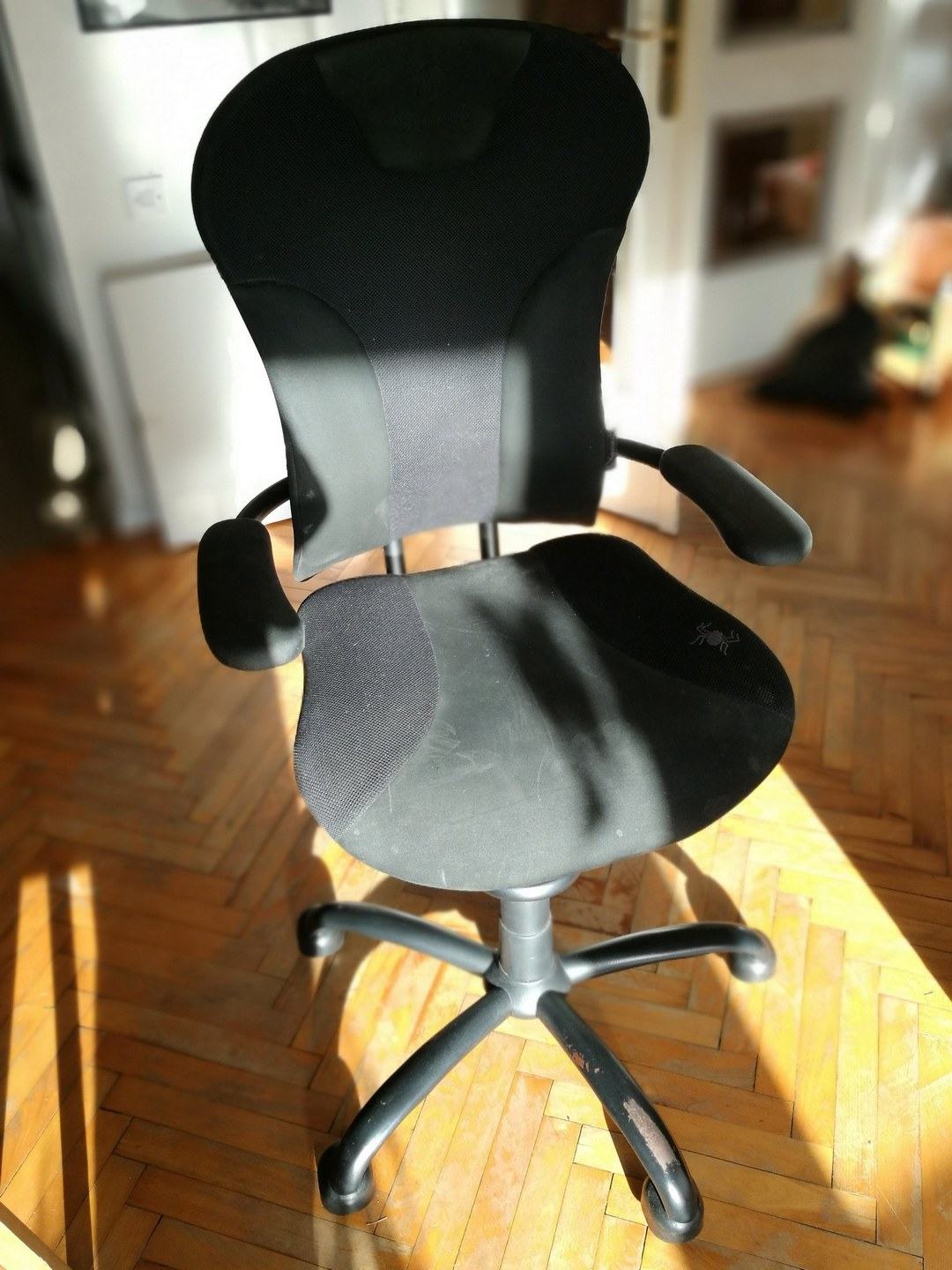 Spinalis Spider stolac