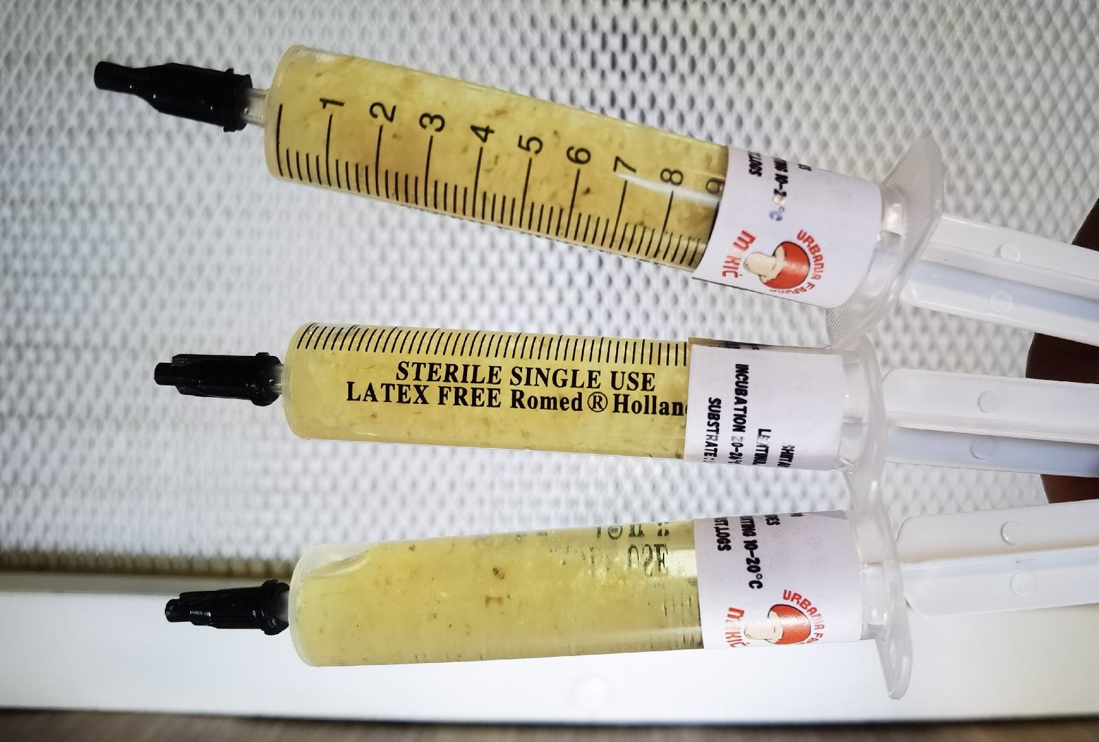 Tekuća Kultura | Uzgoj Gljiva