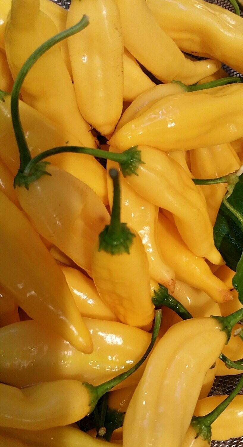 Chili / Lemon Drop / Sjeme