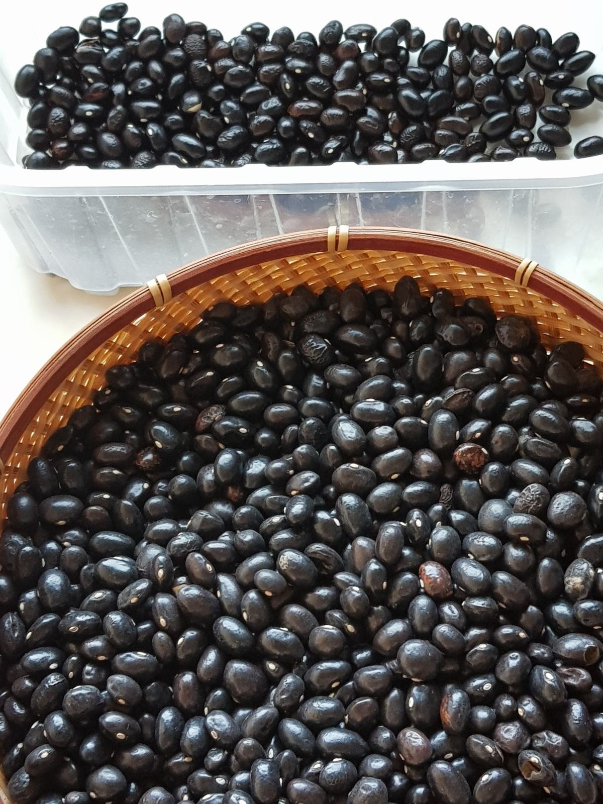 PUTER MAHUNE - žute - stara sorta PUTER GRAHA