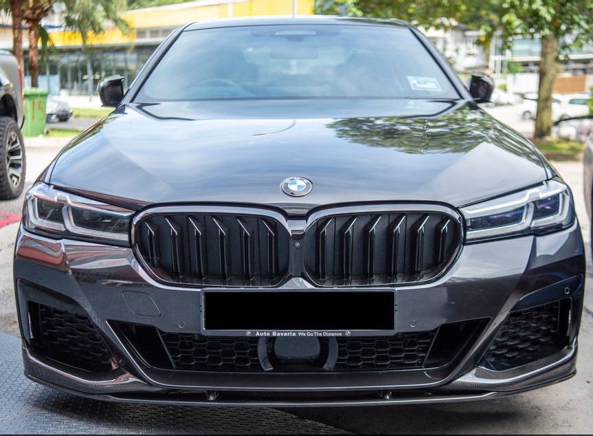 BMW G30 LCI Grill Bubrezi