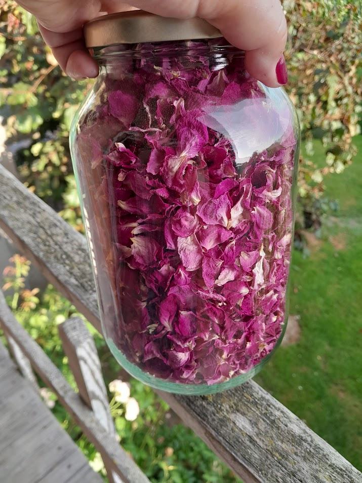 Sušene ružine latice