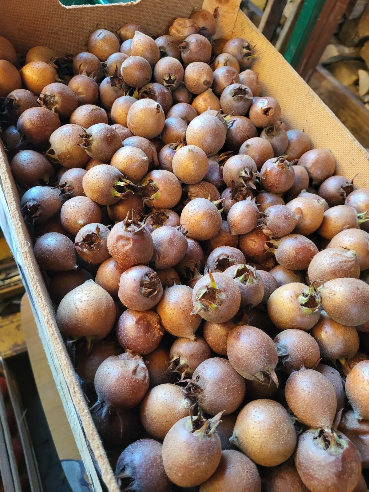 Mušmule