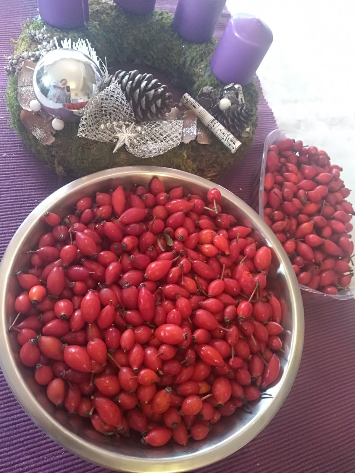 Šipak SADNICE ekološke