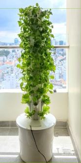 HIDROPONIČNI (vodni) STAND VRT HIDROPONKO I, besplatna dostava