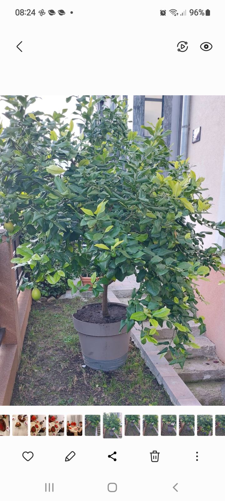 LIMUN