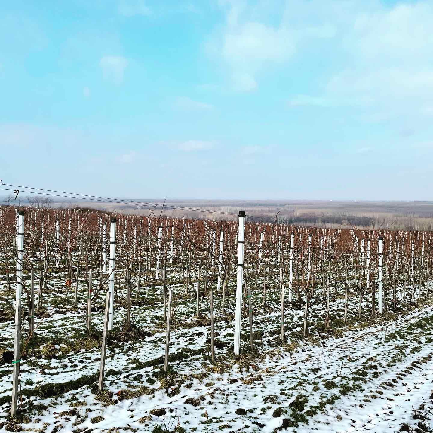 PVC STUP ZA OGRADU 80 mm