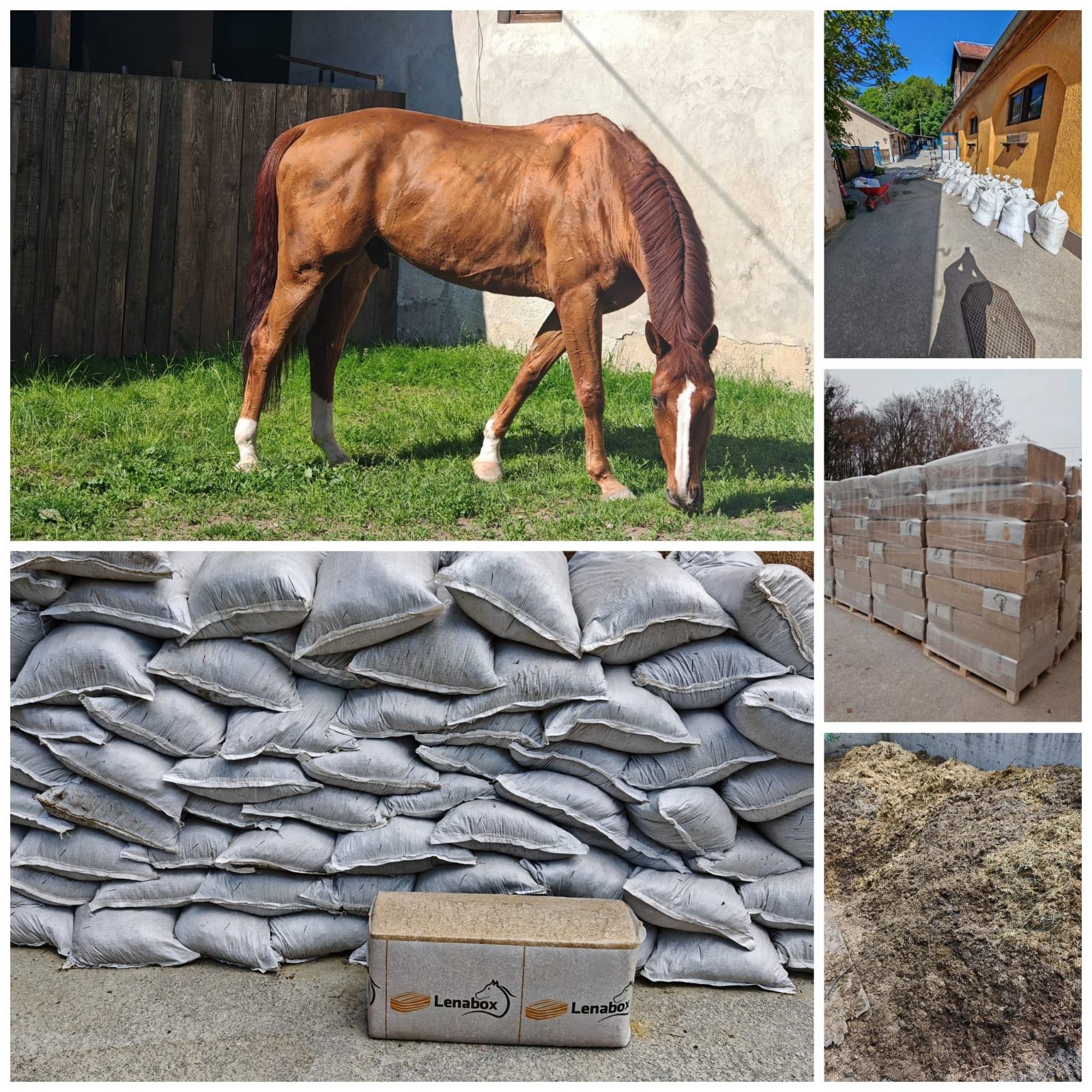 bio konjski gnoj u vrećama sa mogućnošću dostave