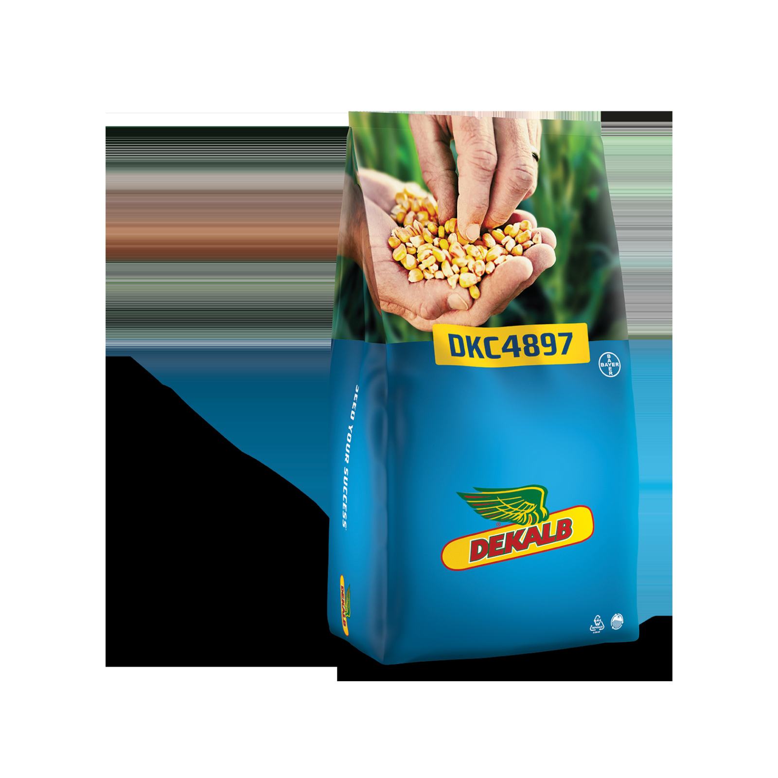 Sjeme kukuruza Dekalb 4897 Acceleron Standard 80 MK