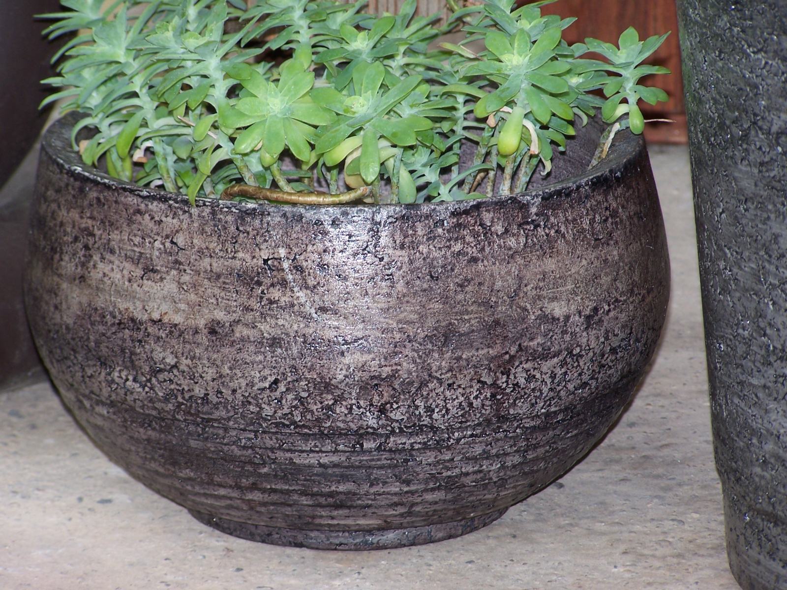 Tegle-bio-posude za cvijeće,pitari-sadnja,aranžmani ili dekor tegle