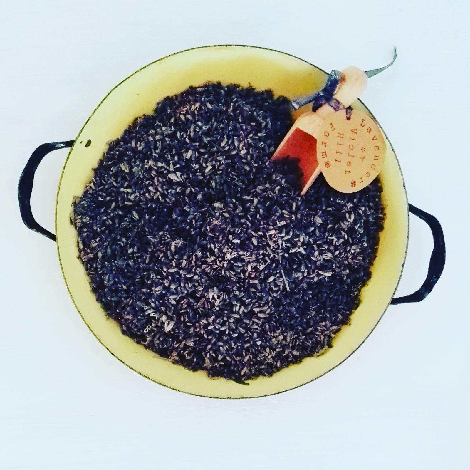 Lavanda i proizvodi od lavande