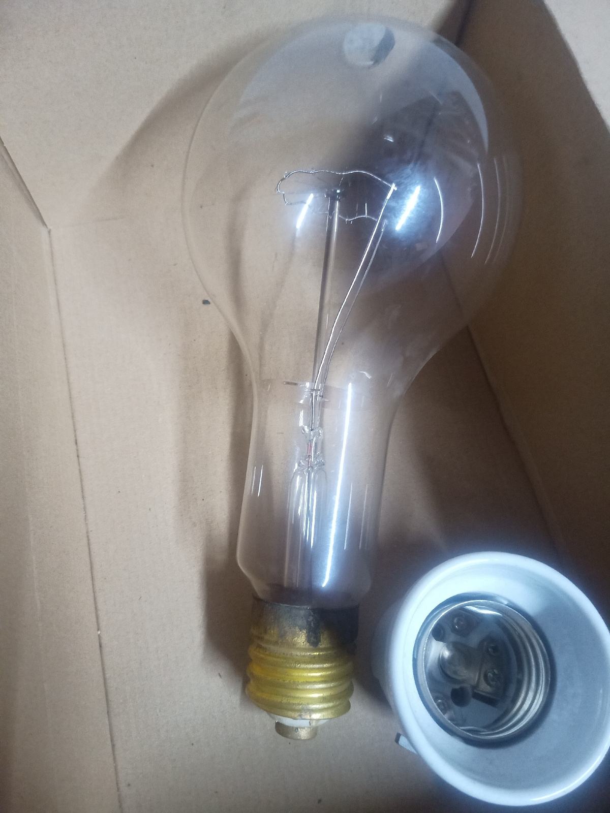 zarulja sa velikim grlom