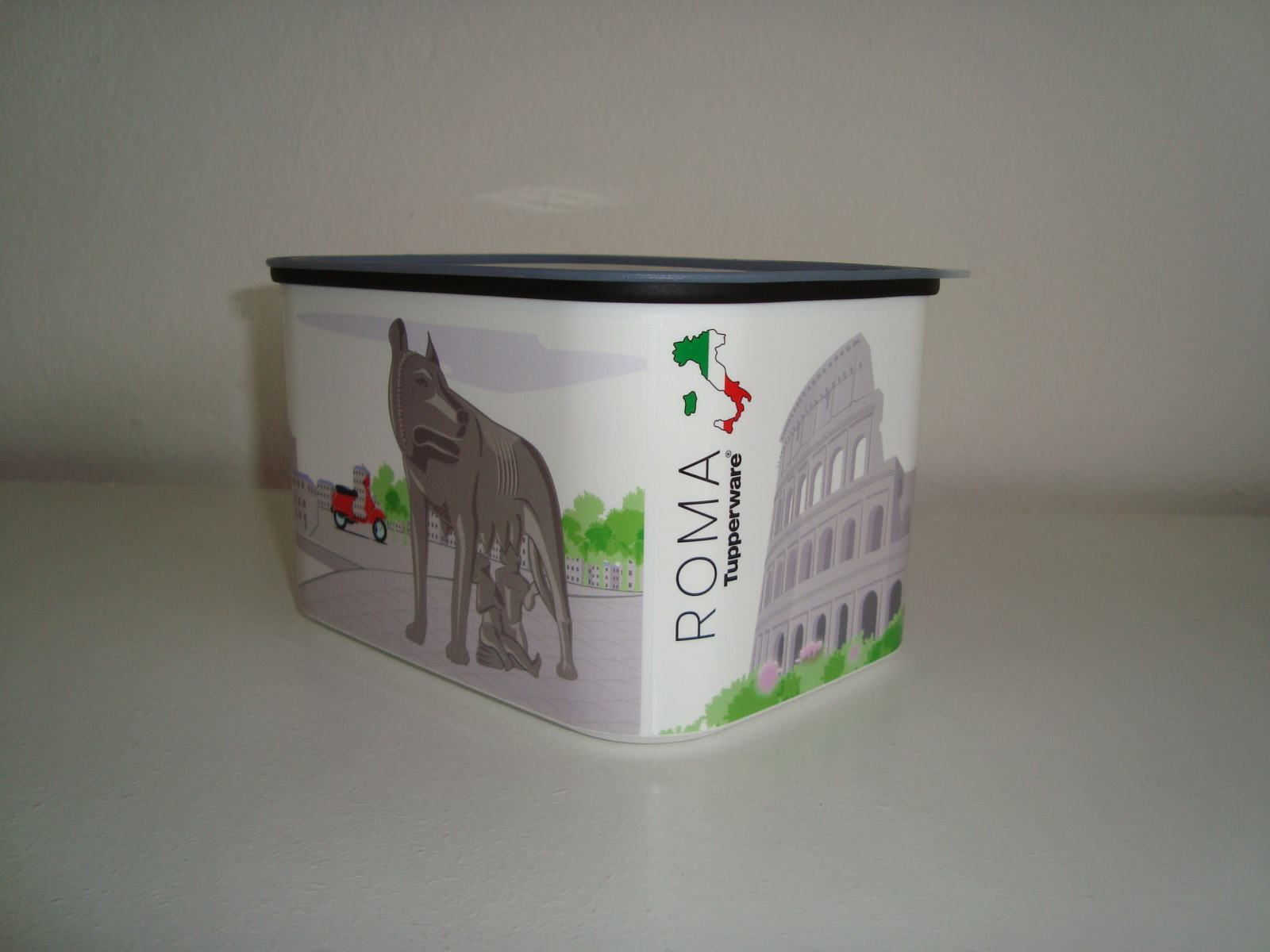 Tupperware četvrtasti spremnik Rim 1,3 L