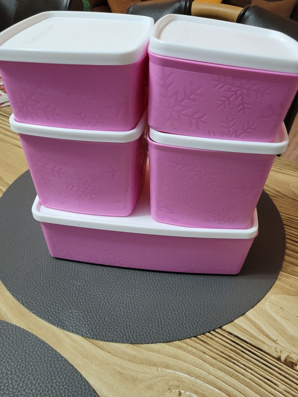 Tupperware set spremnika za zamrzivač duboko