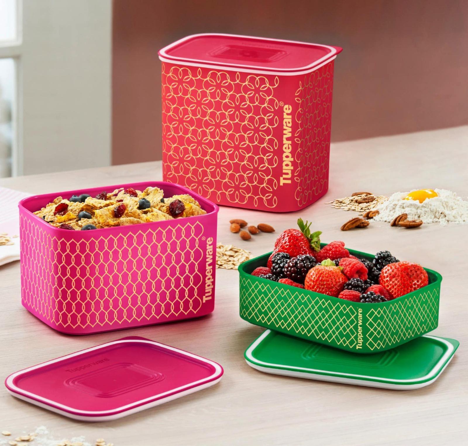 Tupperware set univerzalnih spremnika